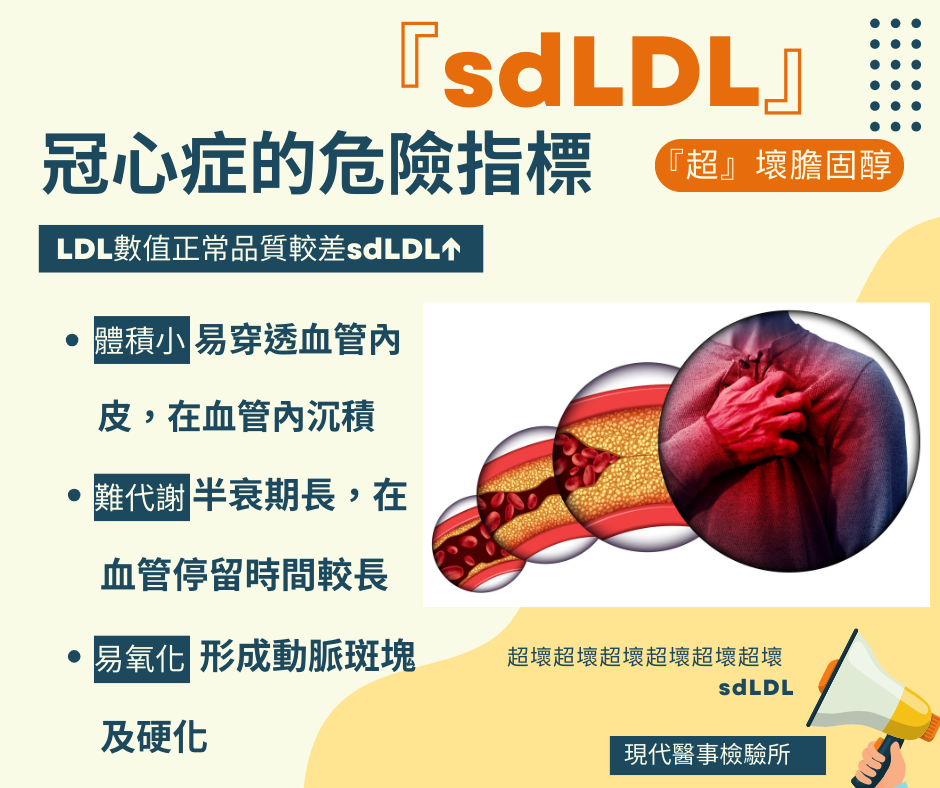 🧬 醫學新知｜從 LDL 到 sdLDL：心血管疾病風險的新視角 – 現代醫事檢驗所