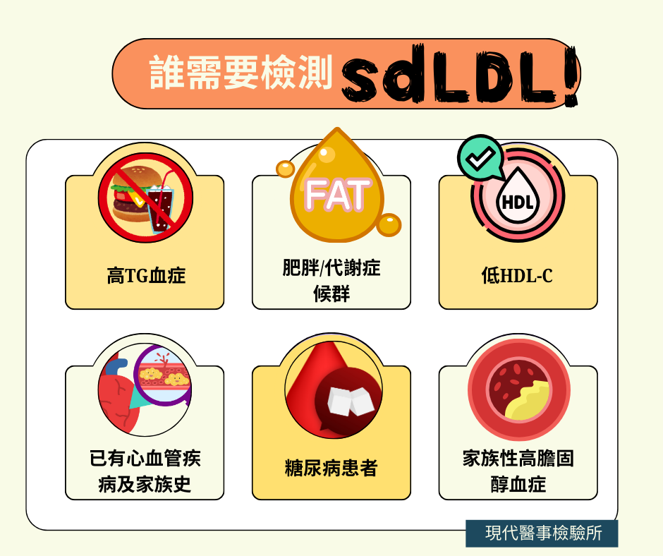 🧬 醫學新知｜從 LDL 到 sdLDL：心血管疾病風險的新視角 – 現代醫事檢驗所